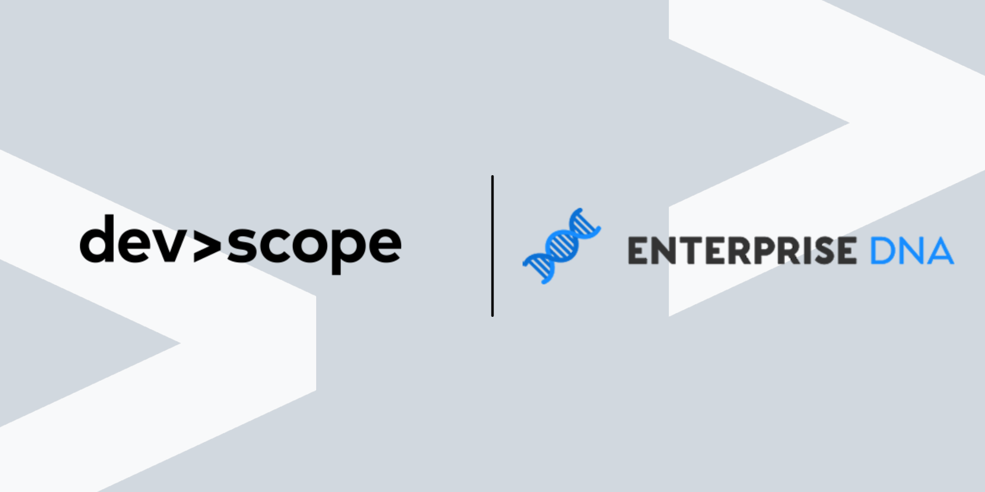 DevScope partners with Enterprise DNA - dev>scope
